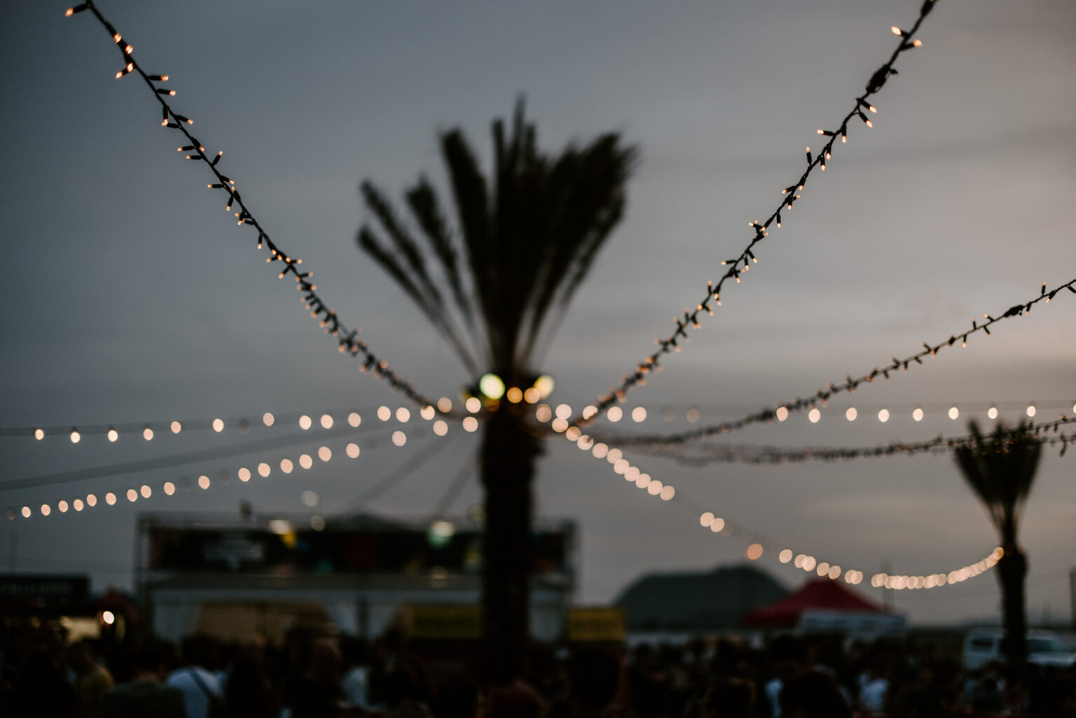 Área 12 - Alicante se convierte en ciudad de referencia de las grandes ...